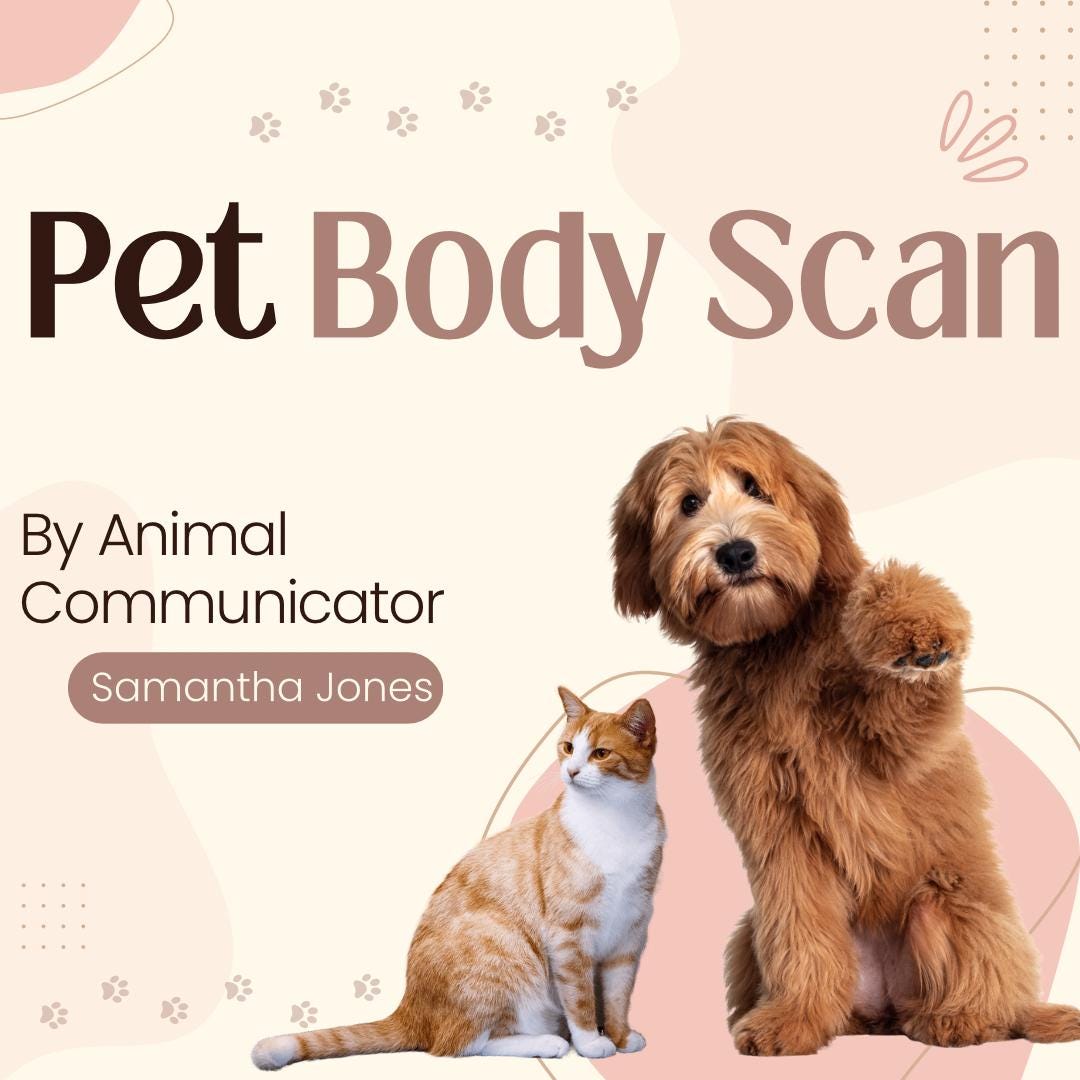 Pet Body Scan by Animal Communicator and Paychic Medium. Holistic ...