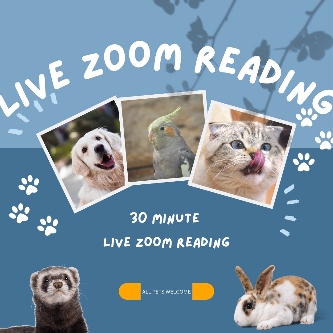 30 Minute Live Zoom Pet Psychic Reading for Passed Animal, World ...