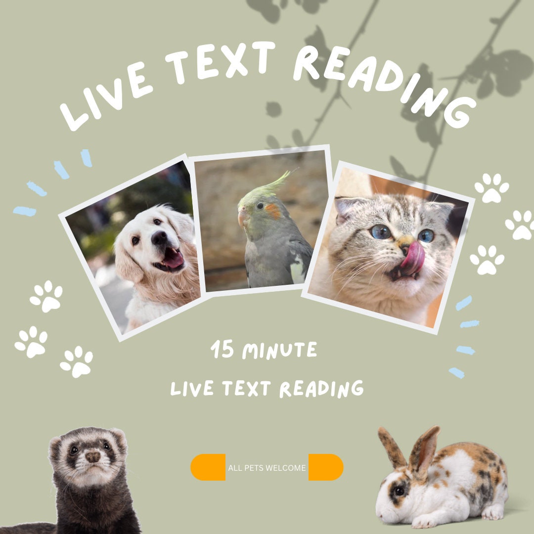 15 Minute Live TEXT Pet Psychic Reading: Animal Communication - Etsy