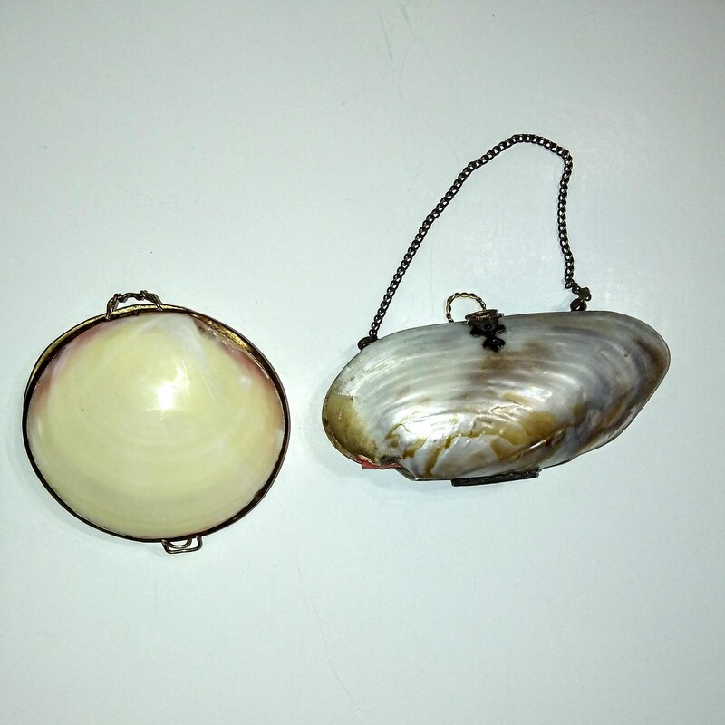 Antique Shell Purse - Etsy