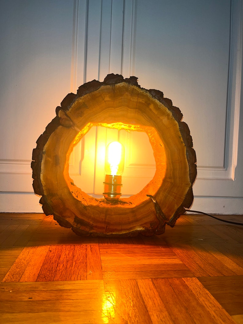 Tree Slice as a Lamp, Real Wood Lamp, Tree Trunk With Light Bulb, Real ...