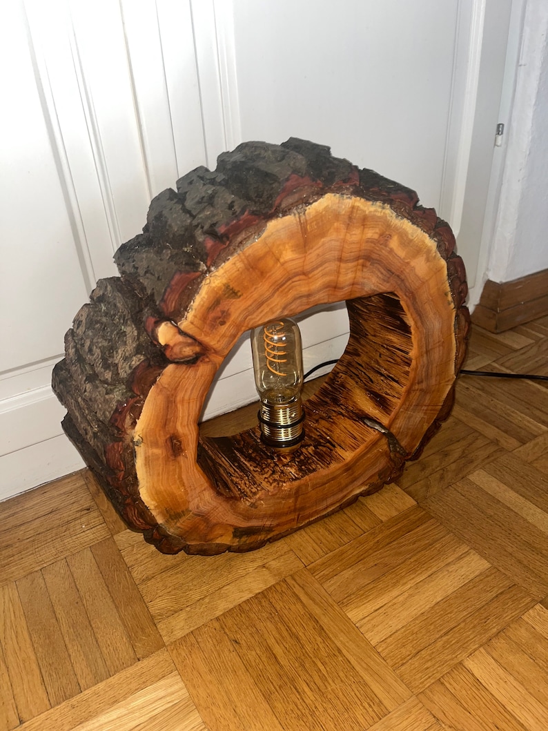 Tree Slice as a Lamp, Real Wood Lamp, Tree Trunk With Light Bulb, Real ...
