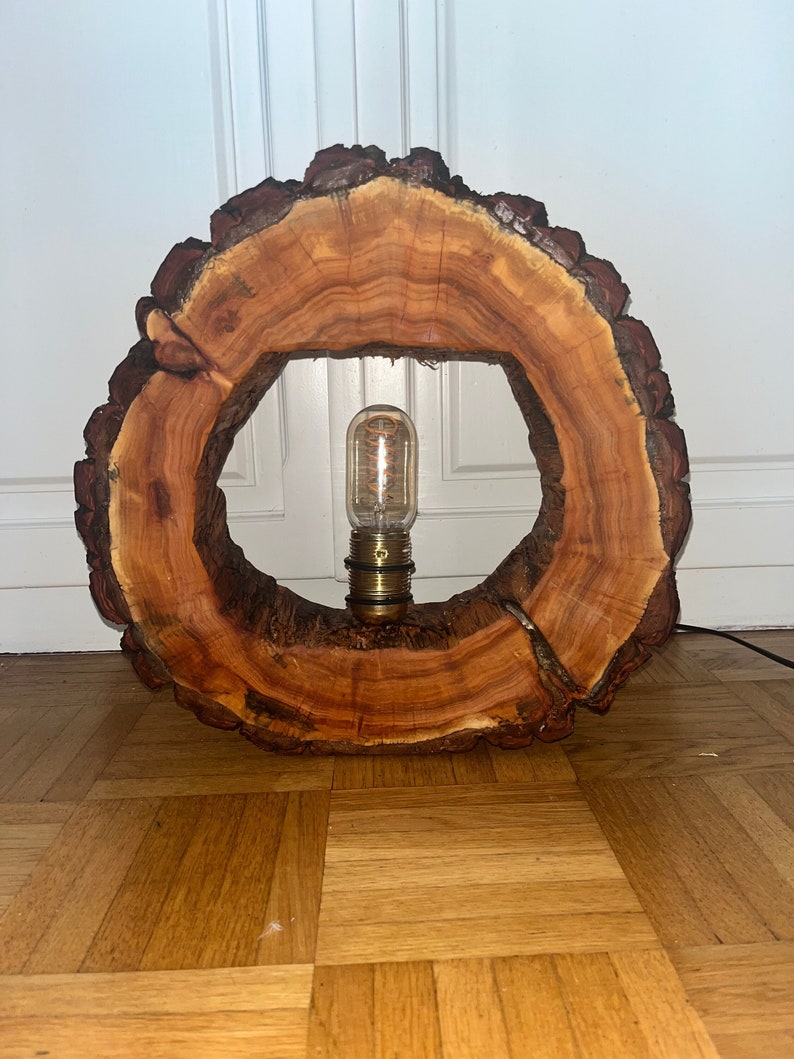 Tree Slice as a Lamp, Real Wood Lamp, Tree Trunk With Light Bulb, Real ...
