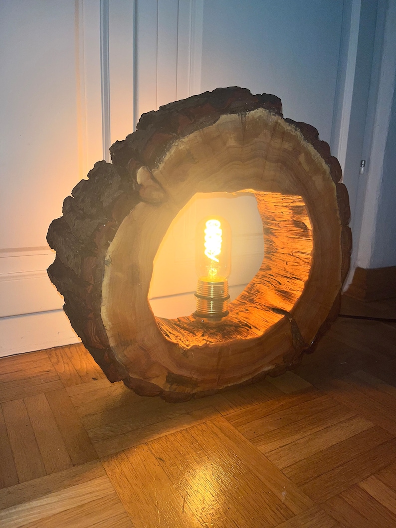 Tree Slice as a Lamp, Real Wood Lamp, Tree Trunk With Light Bulb, Real ...
