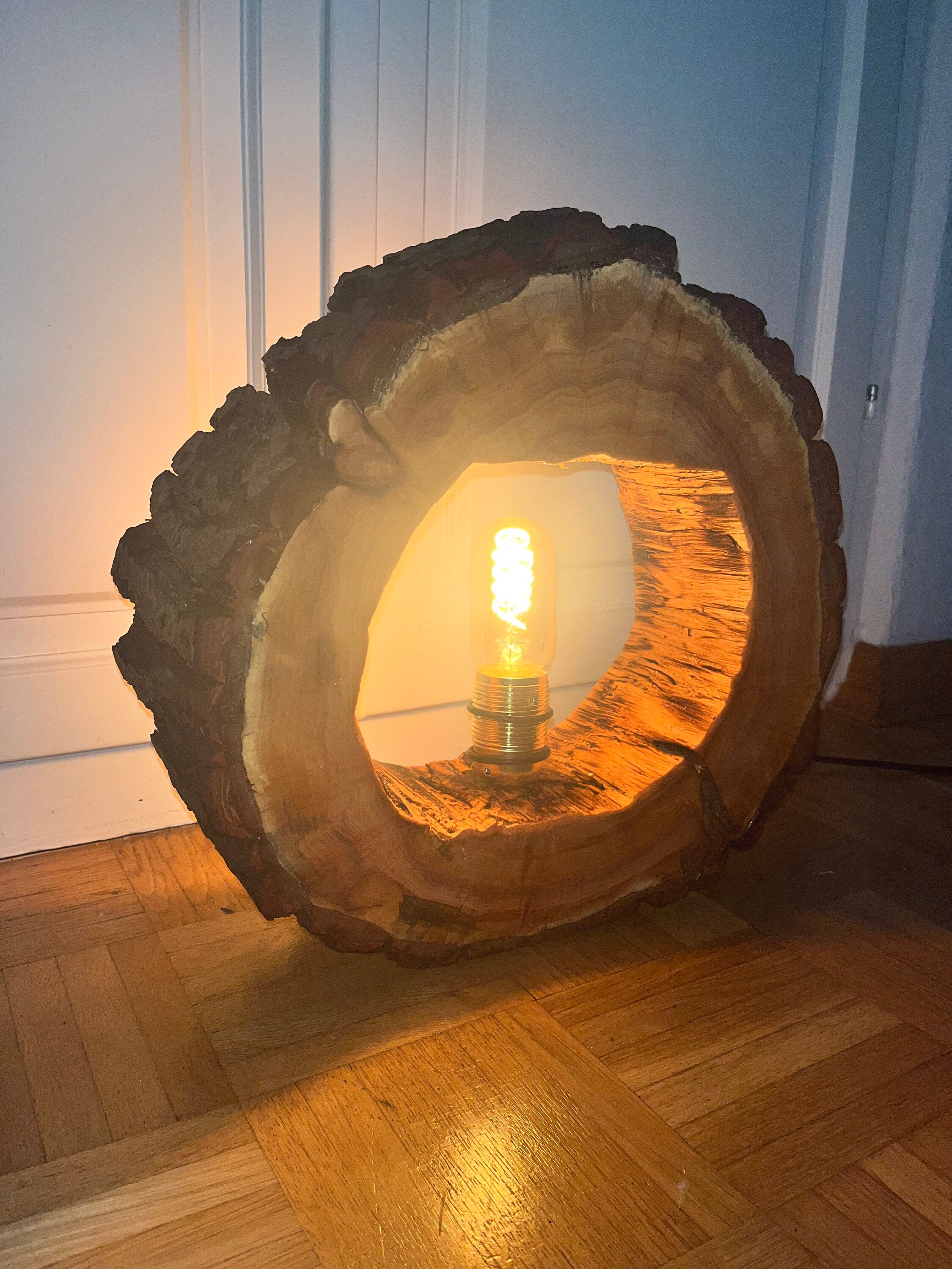 Tree Slice as a Lamp, Real Wood Lamp, Tree Trunk With Light Bulb, Real ...