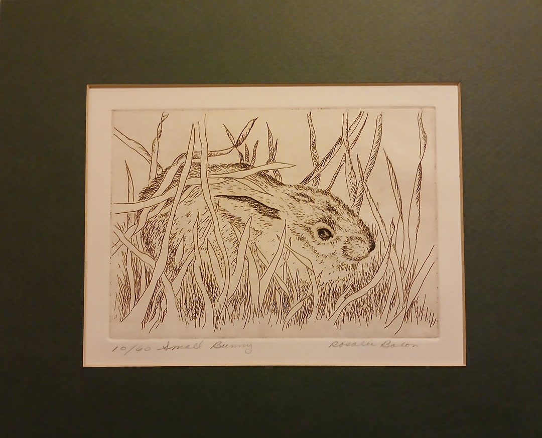 Hand-drawn Rabbit Etching: Signed Small Bunny Art, 5x7 in Mat (10x12 In ...