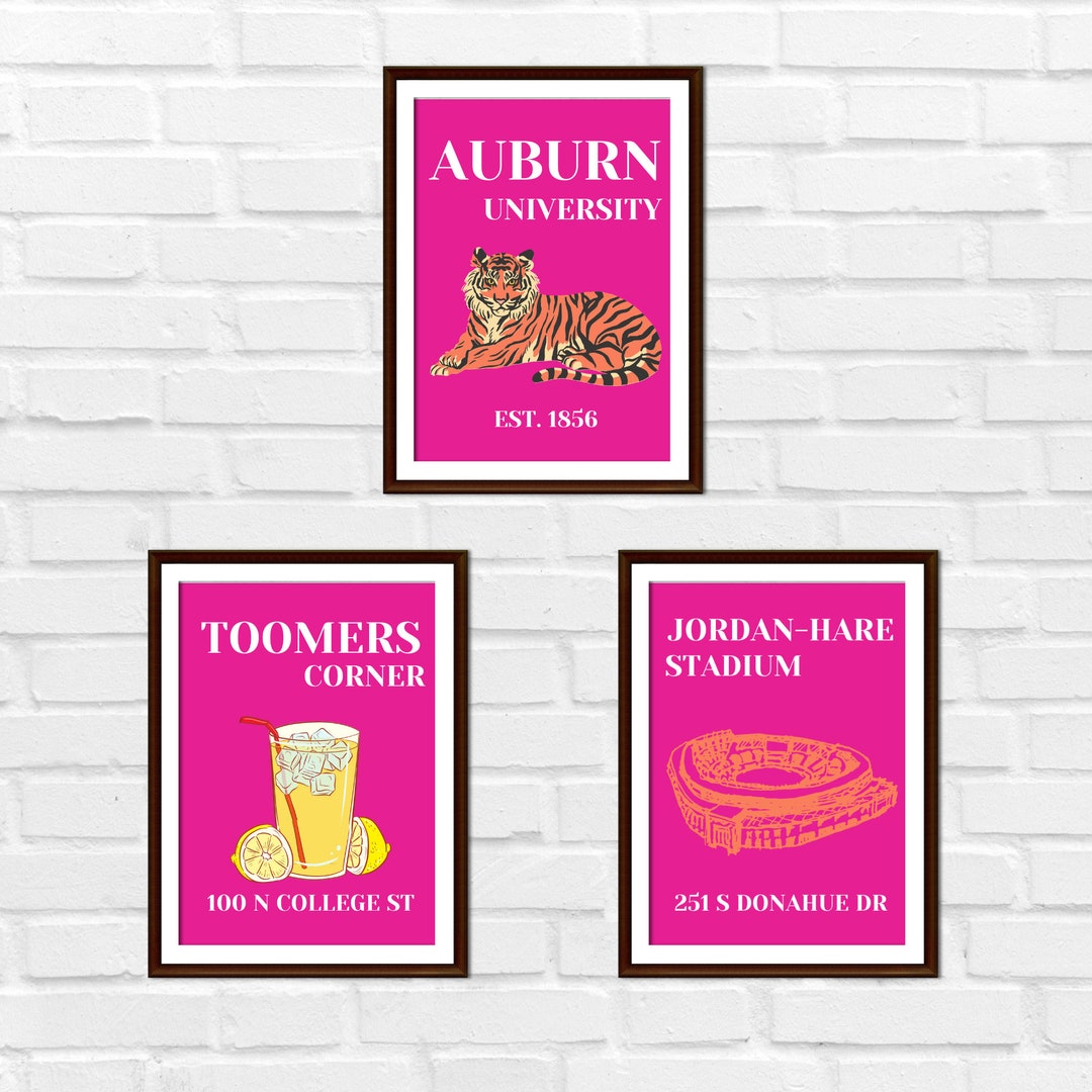 Auburn Print Pack Set of 3 Hot Pink - Etsy