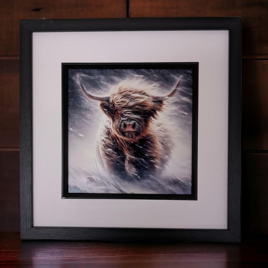 Framed Highland Cow Print: Thor in Scottish Snowstorm (12x12) - Etsy