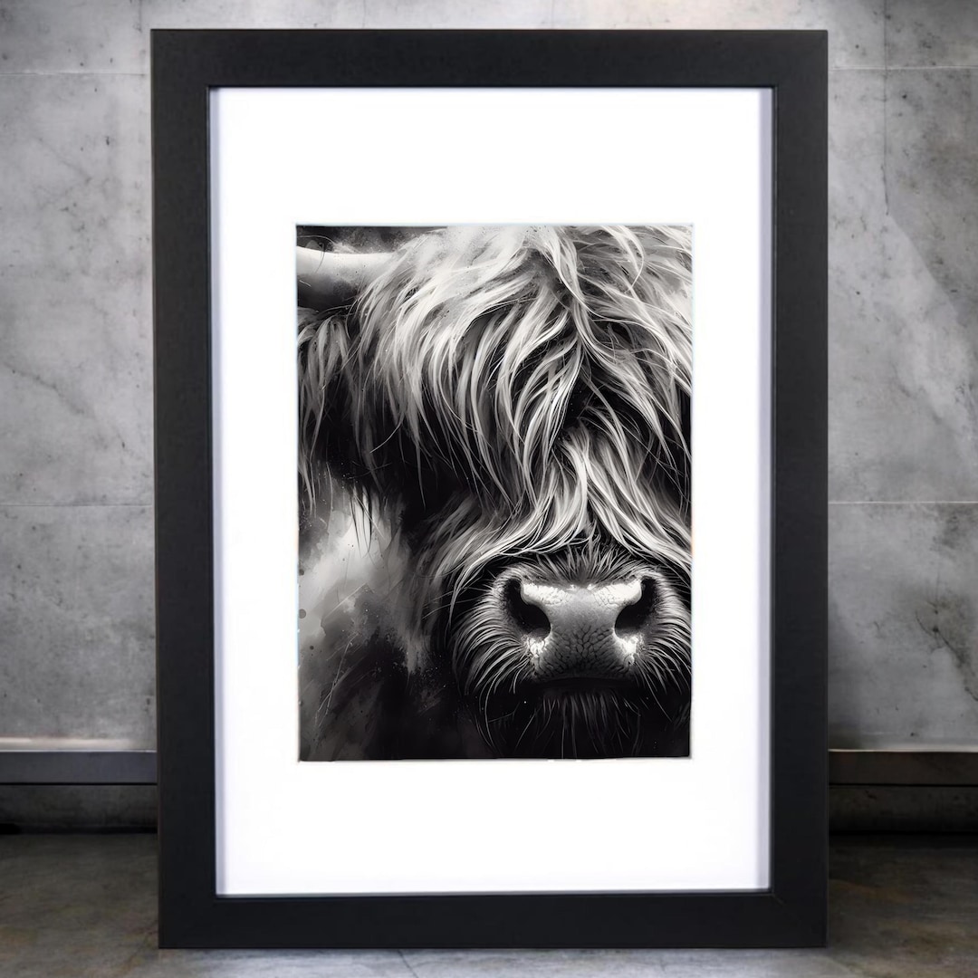 Angus Highland Cow Framed Print: Scottish Room Decor (A4, 16 Inch Frame ...
