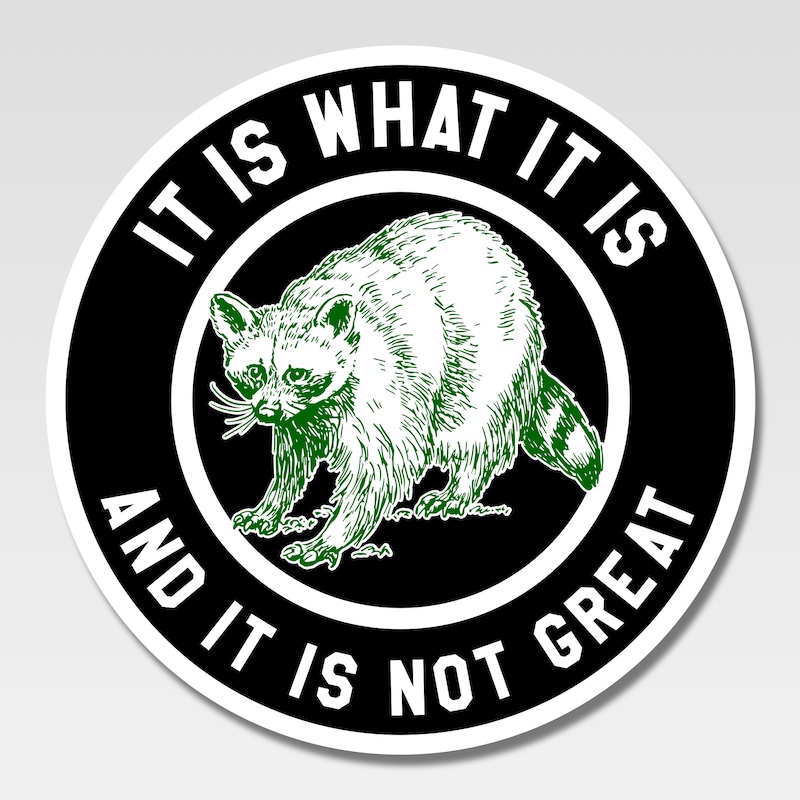 Car Stickers Funny - Etsy