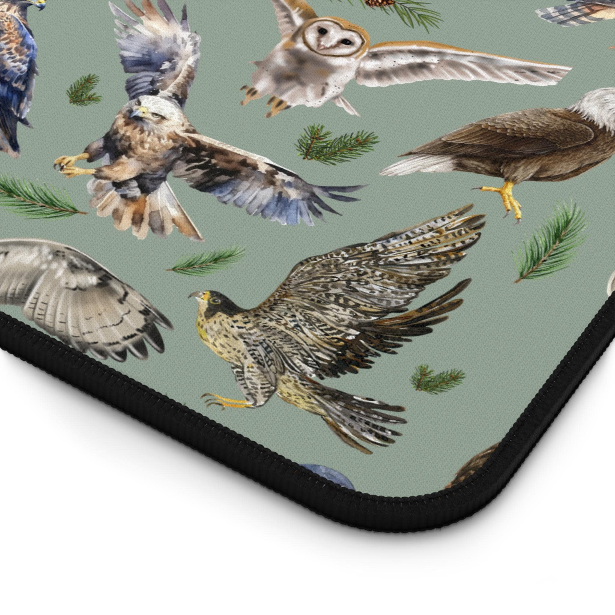 Birds of Prey Desk Mat Hawk Eagle Owl Owls Hawks Ornithologist Watcher ...