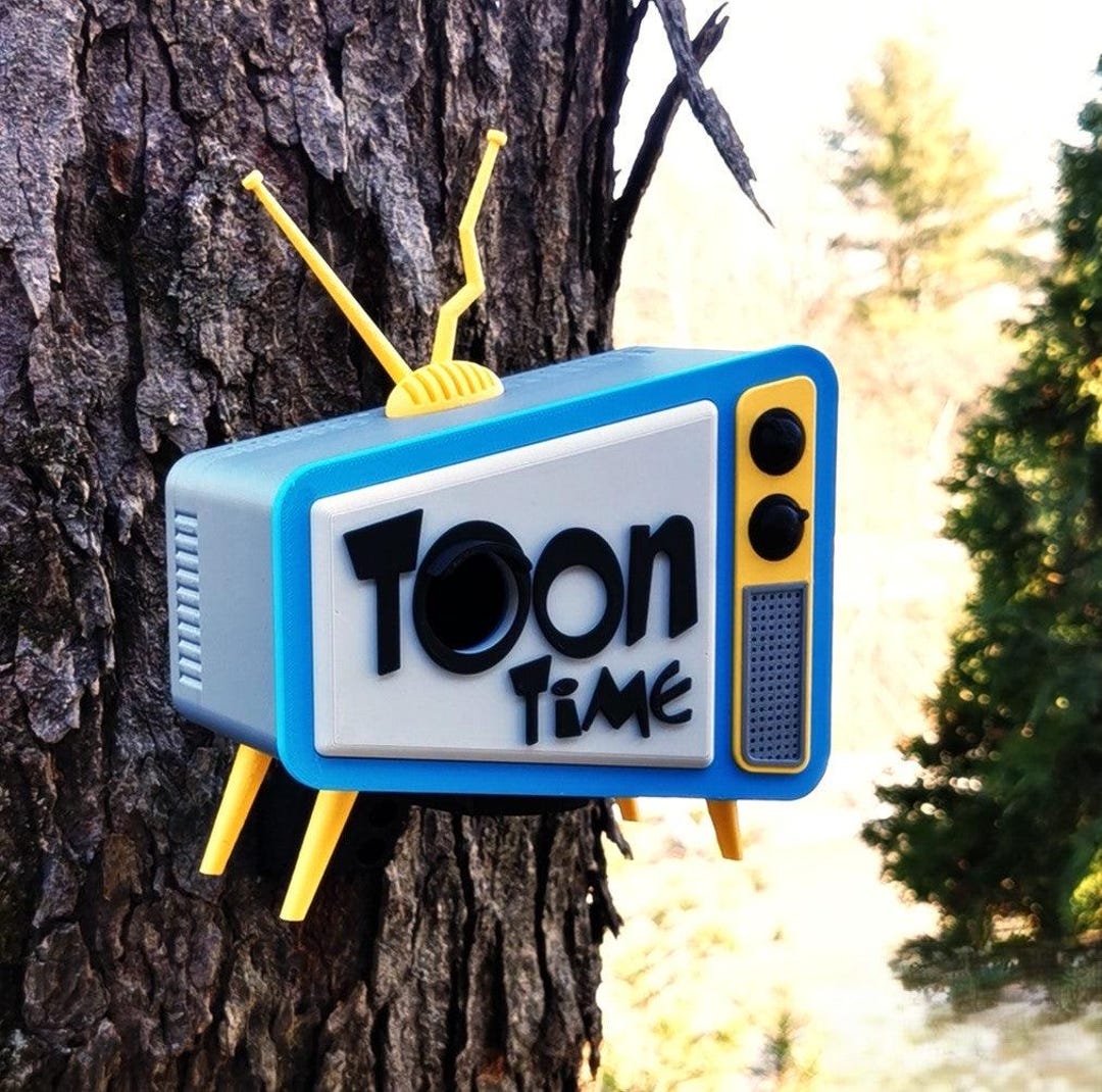 Toon Time Tooned Television Birdhouse - Etsy
