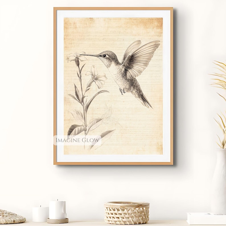 Hummingbird Sketch Print - Bird Sketch Spring Wall Art - Vintage Spring ...