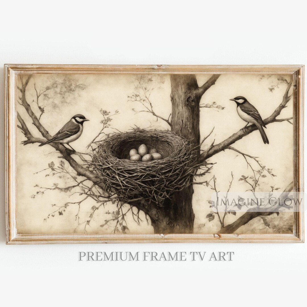Vintage Bird Nest Frame TV Art: Farmhouse Spring Decor (digital ...