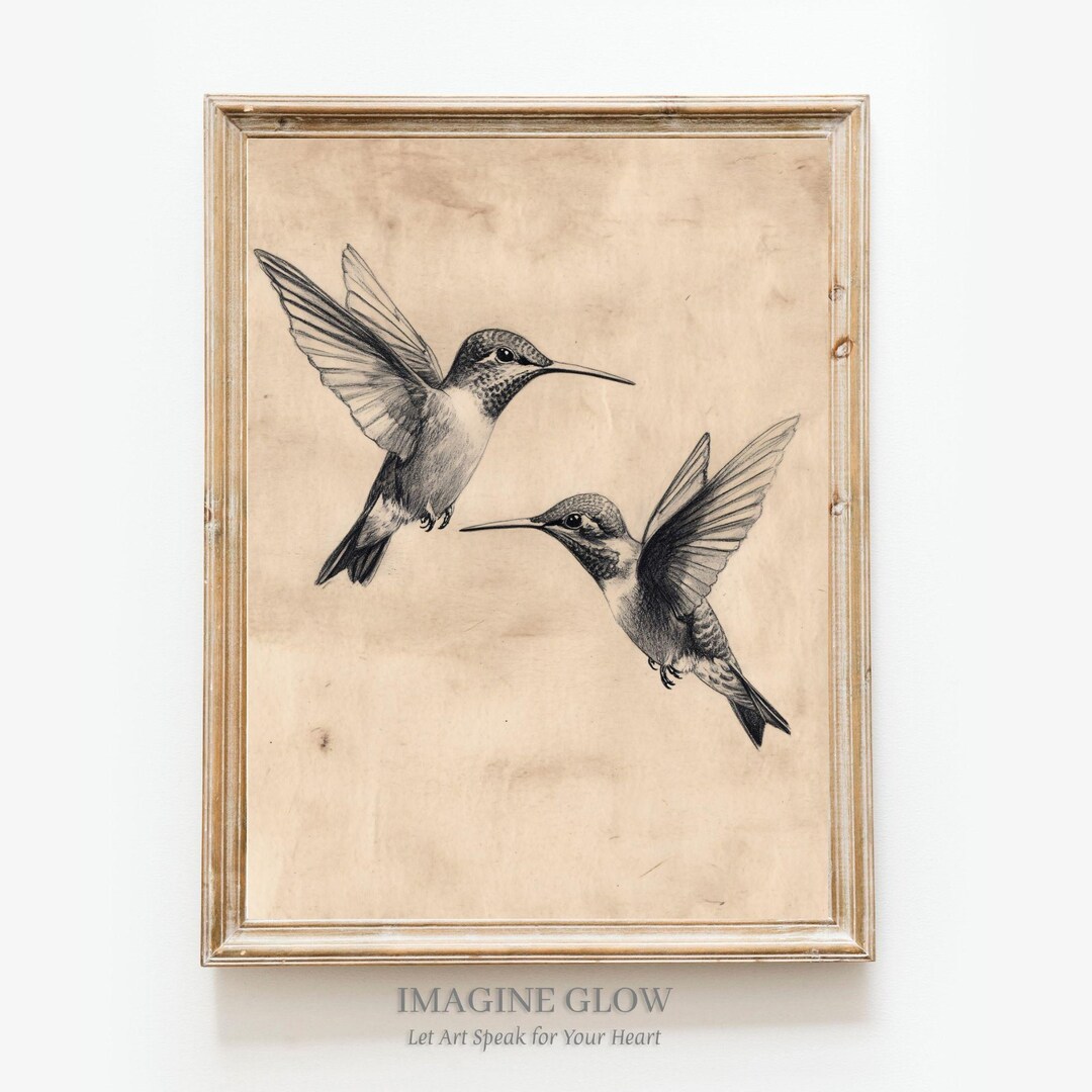 Two Hummingbirds Sketch Art Print Vintage Bird Wall Art Antique Bird ...