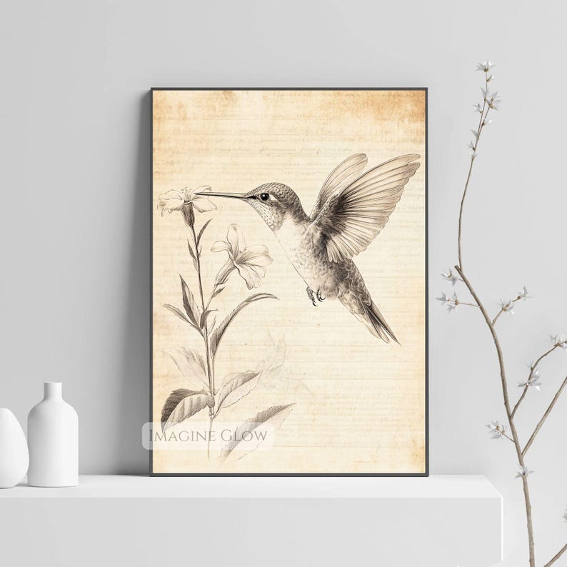 Hummingbird Sketch Print - Bird Sketch Spring Wall Art - Vintage Spring ...