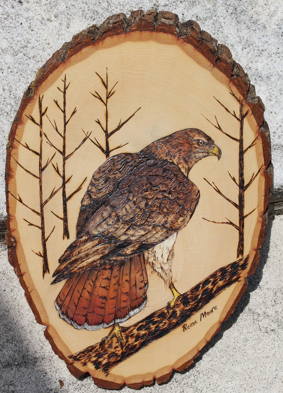 Red-tailed Hawk Wood Burning "scouting" - Etsy