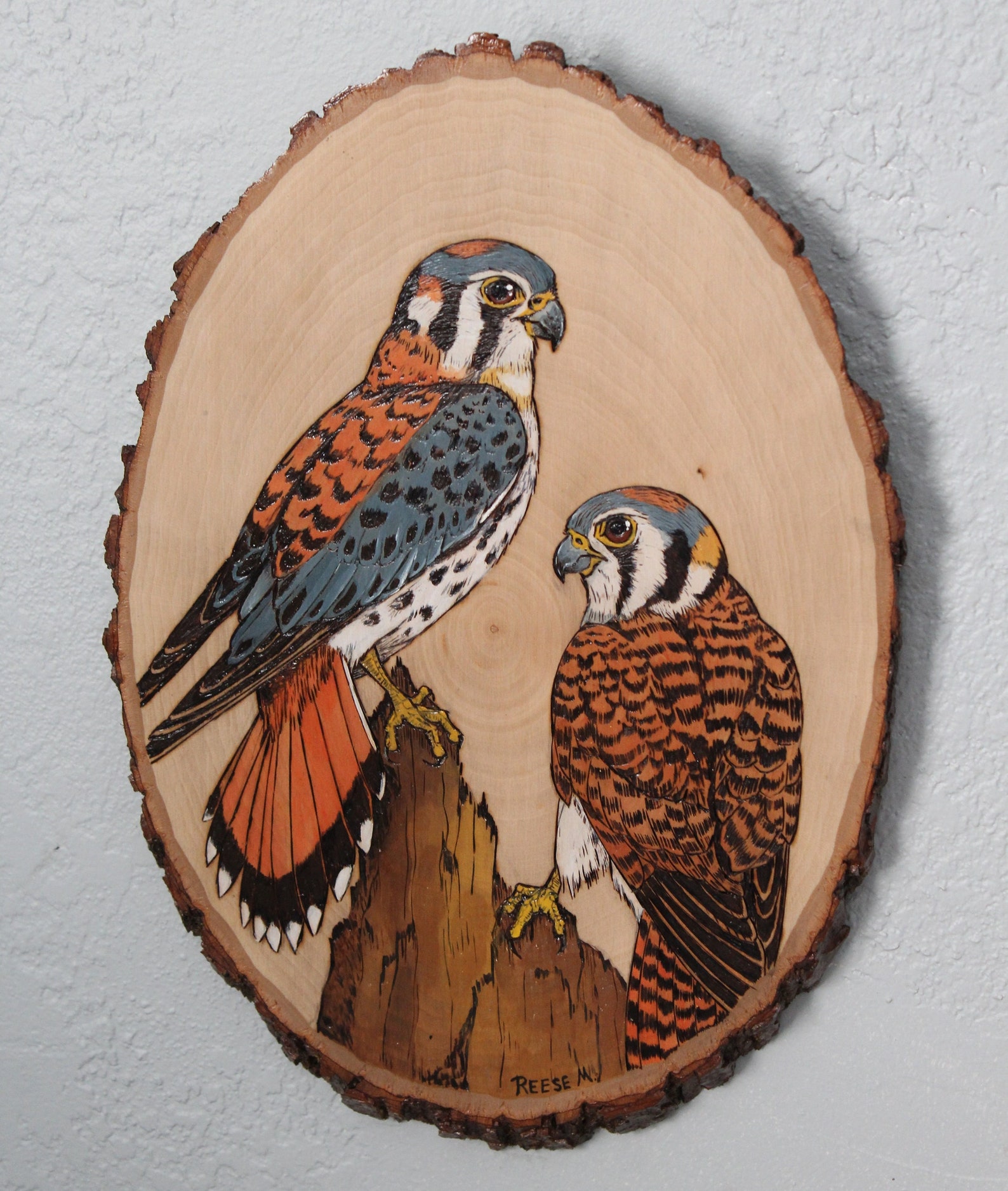American Kestrel Wood Burning Wall Art - Etsy