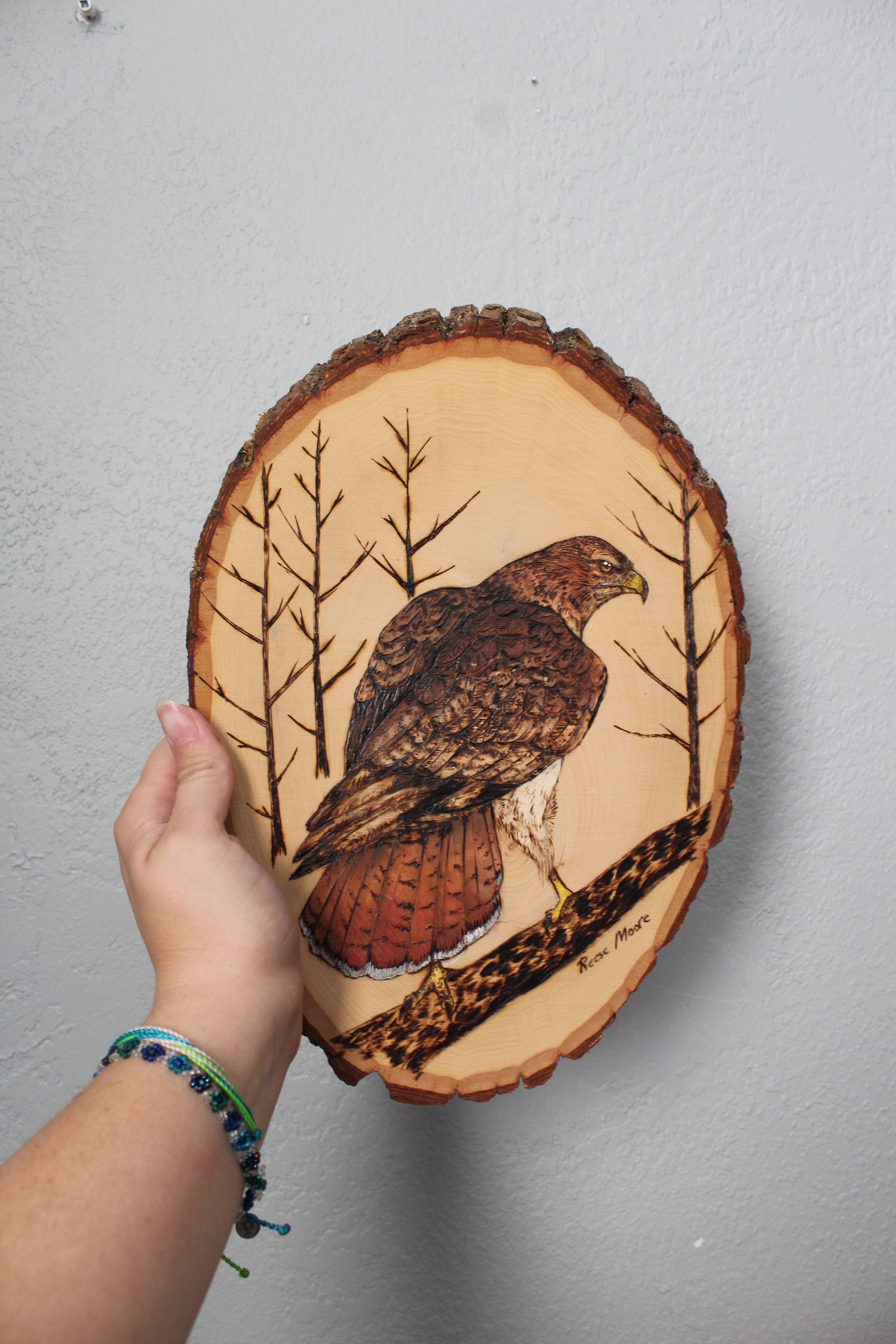 Red-tailed Hawk Wood Burning "scouting" - Etsy