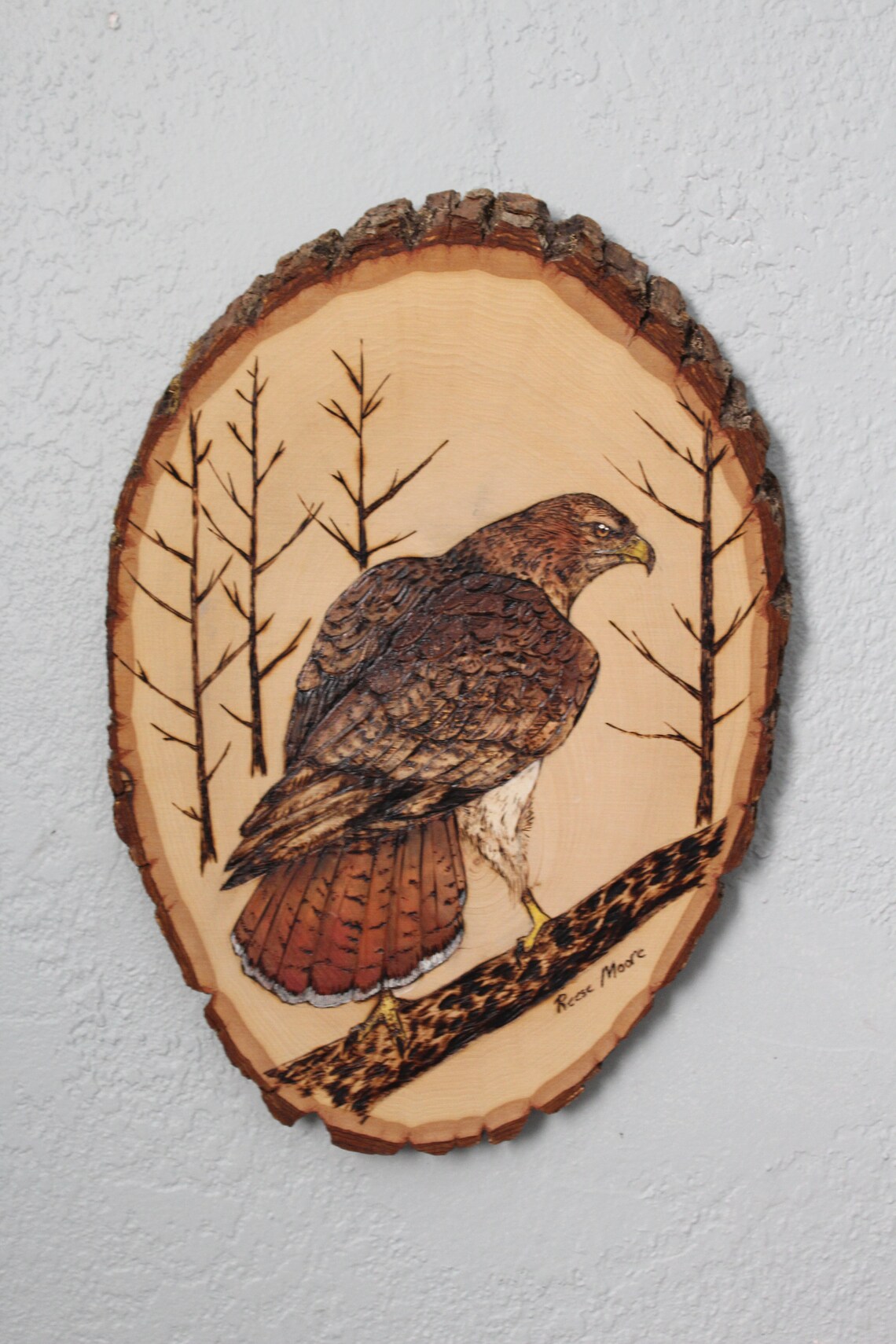Red-tailed Hawk Wood Burning "scouting" - Etsy
