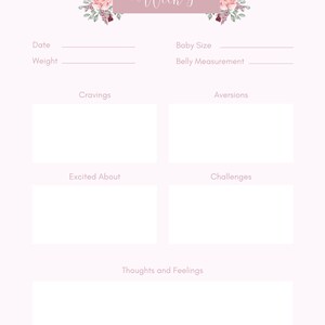 Digital & Printable Pregnancy Journal | Pregnancy Updates | 40 Week ...