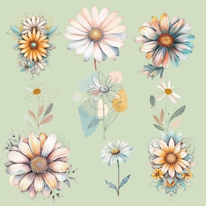 50 Spring Daisy Clipart Bundle, Comfort Colors, Pastels, Transparent ...
