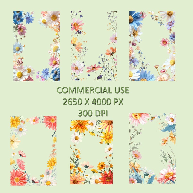 60 Transparent Daisy Frames PNG, Commercial Use, Instant Download ...