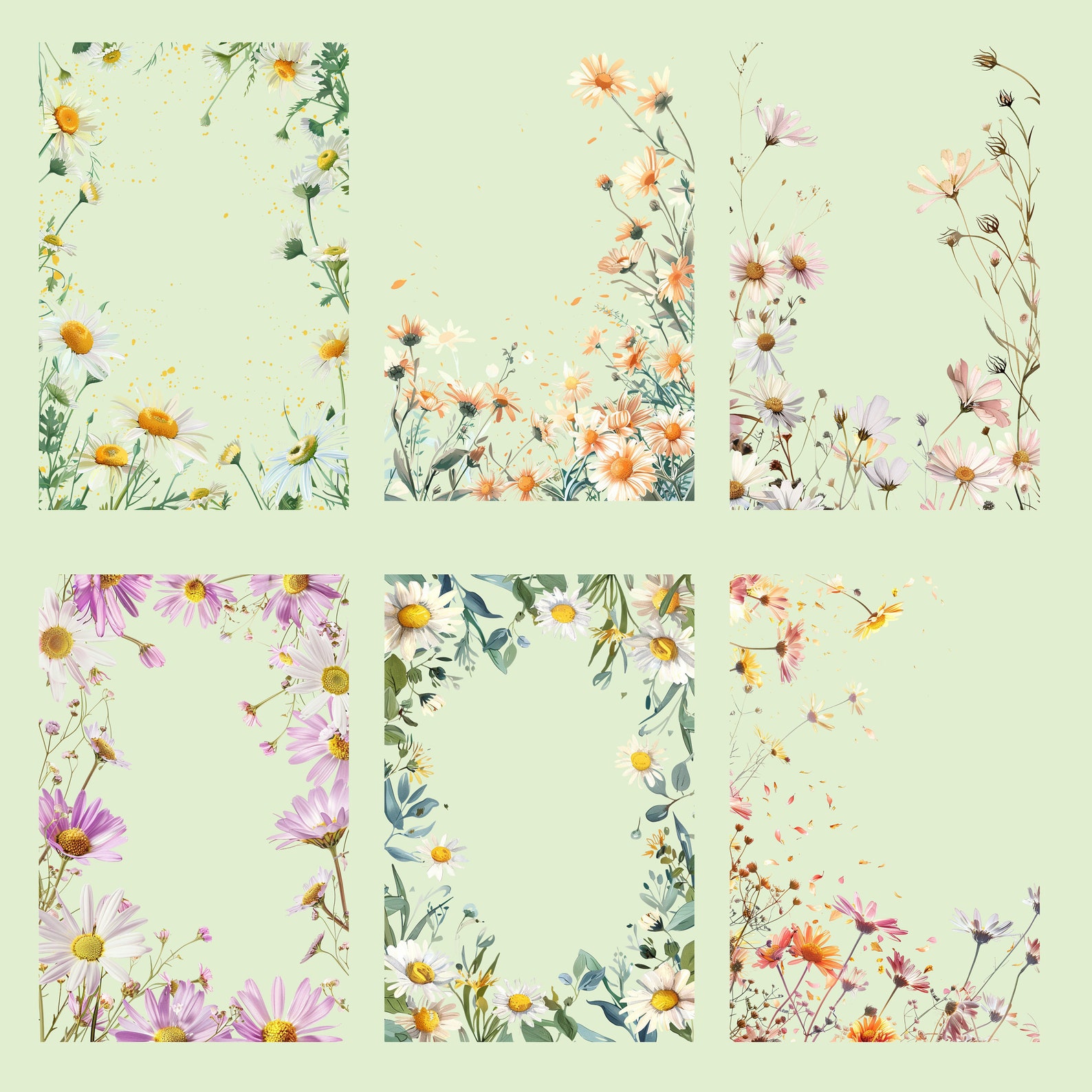 60 Transparent Daisy Frames PNG, Commercial Use, Instant Download ...