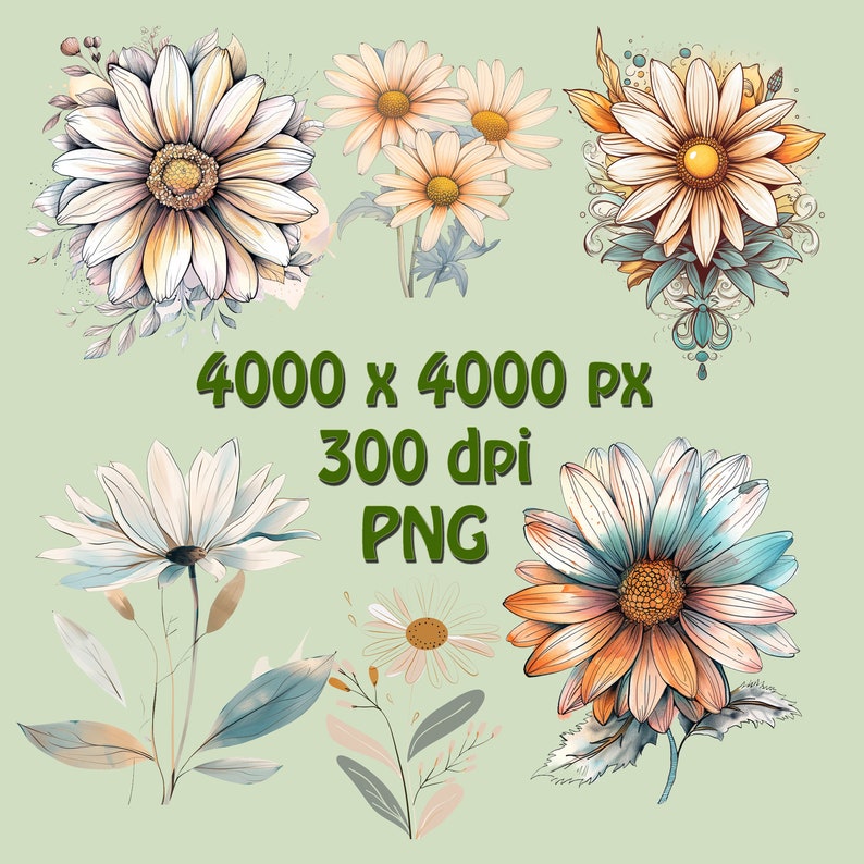 50 Spring Daisy Clipart Bundle, Comfort Colors, Pastels, Transparent ...