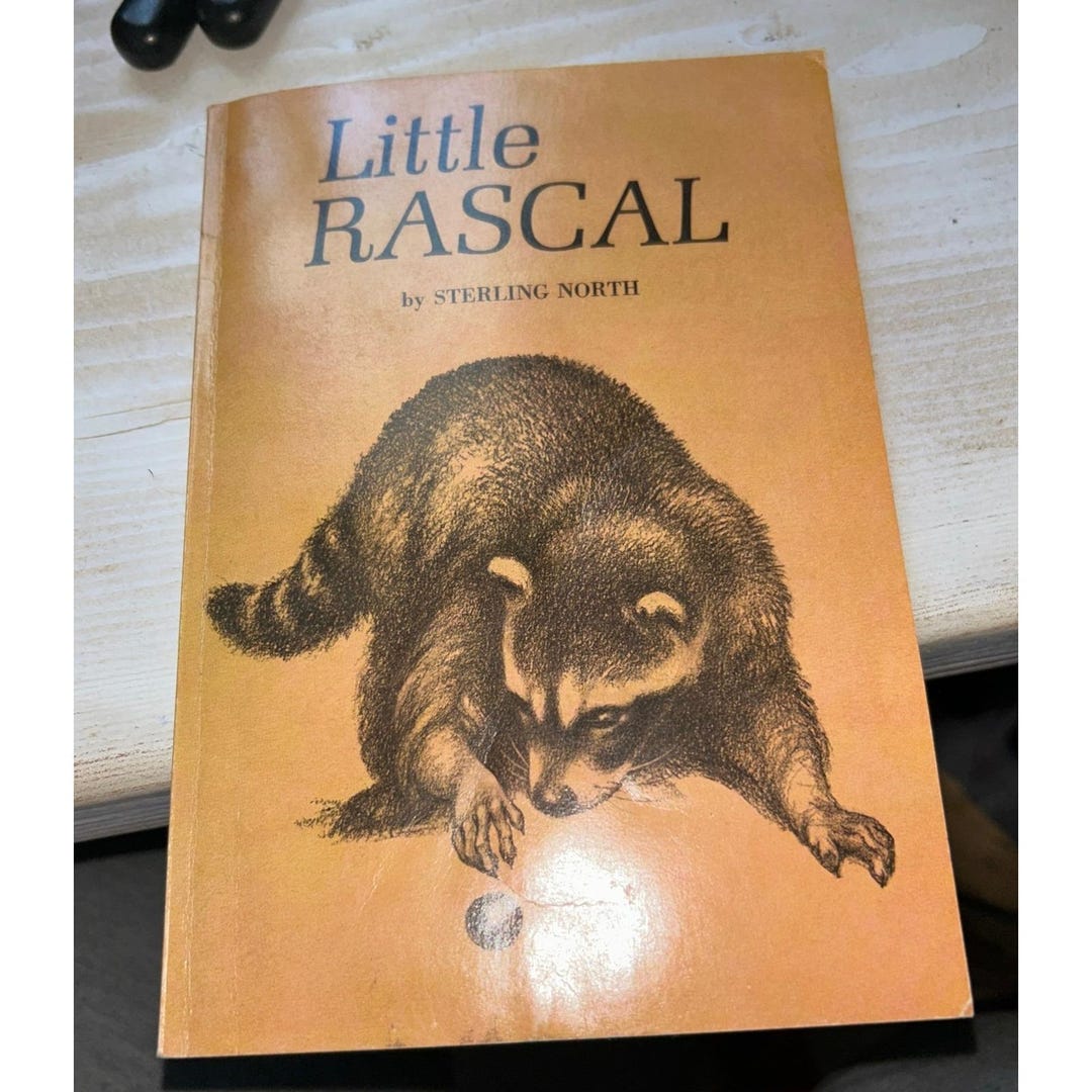 Little Rascal by Sterling North Classic Childrens Book - Etsy