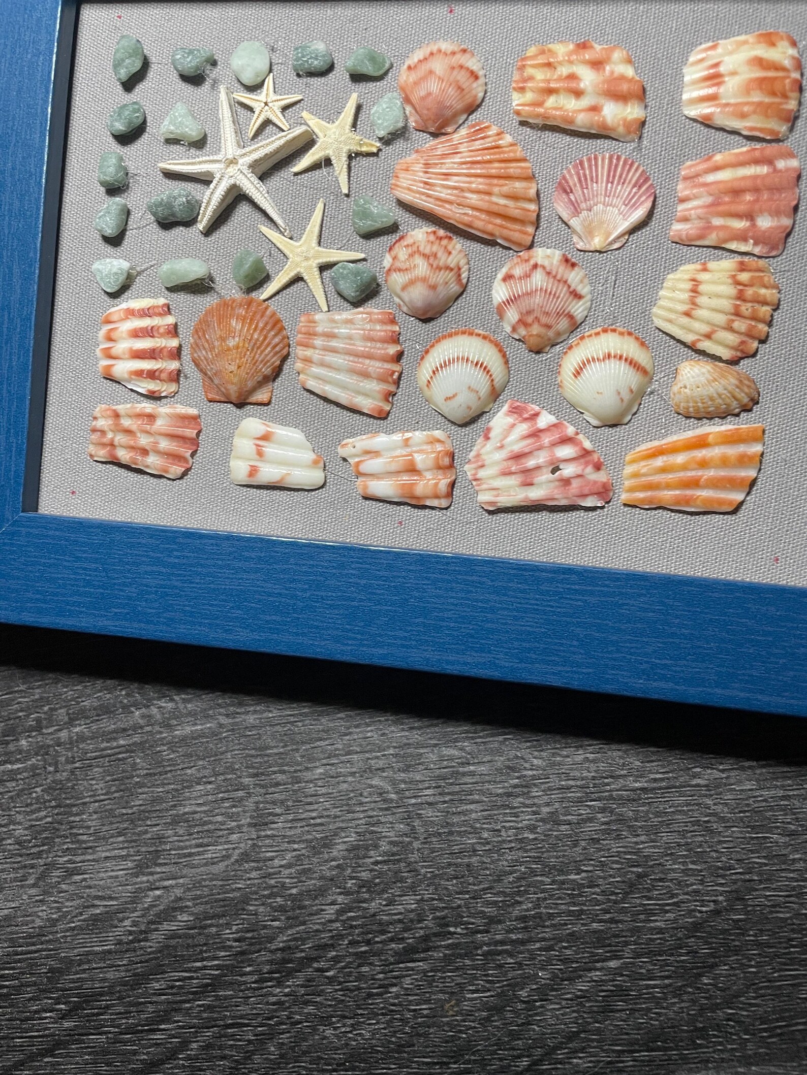 Freamed Seashell American Flag - Etsy