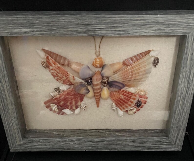 A Framed Seashell Butterfly - Etsy