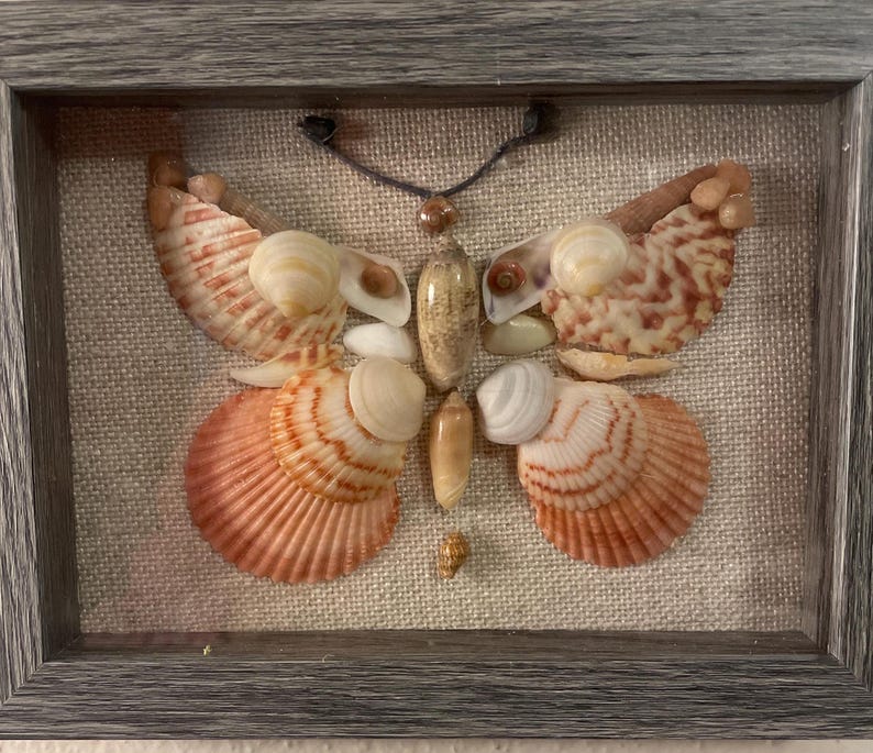 A Framed Seashell Butterfly - Etsy
