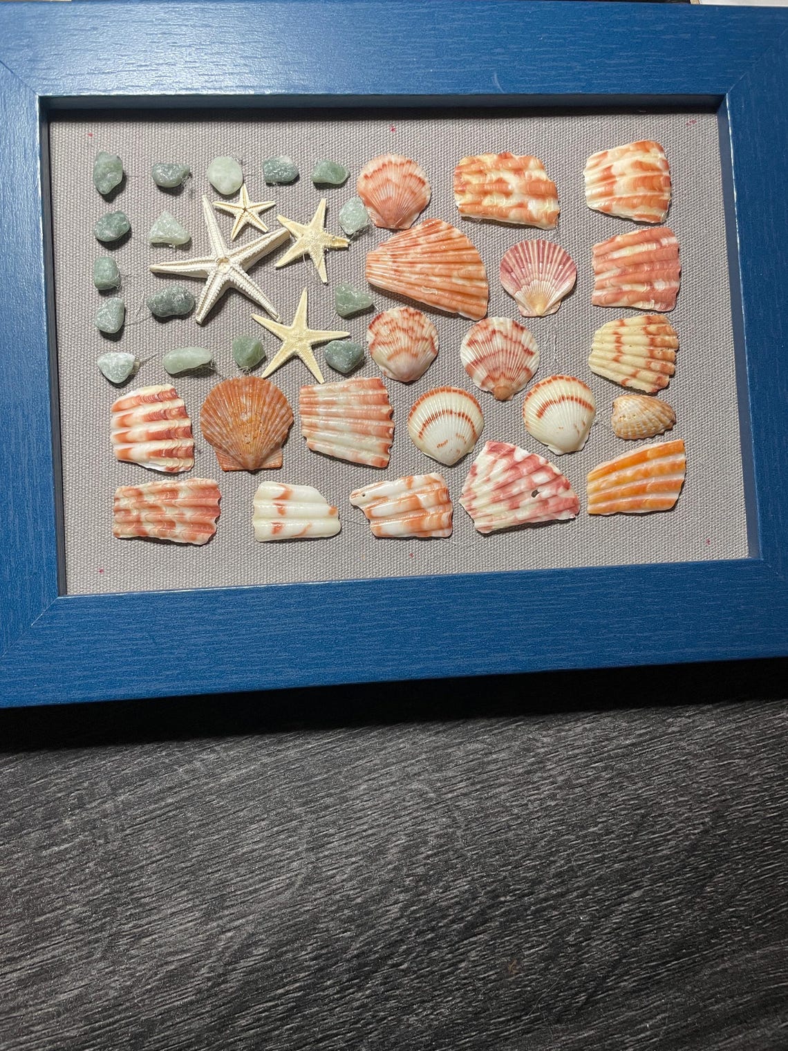 Freamed Seashell American Flag - Etsy