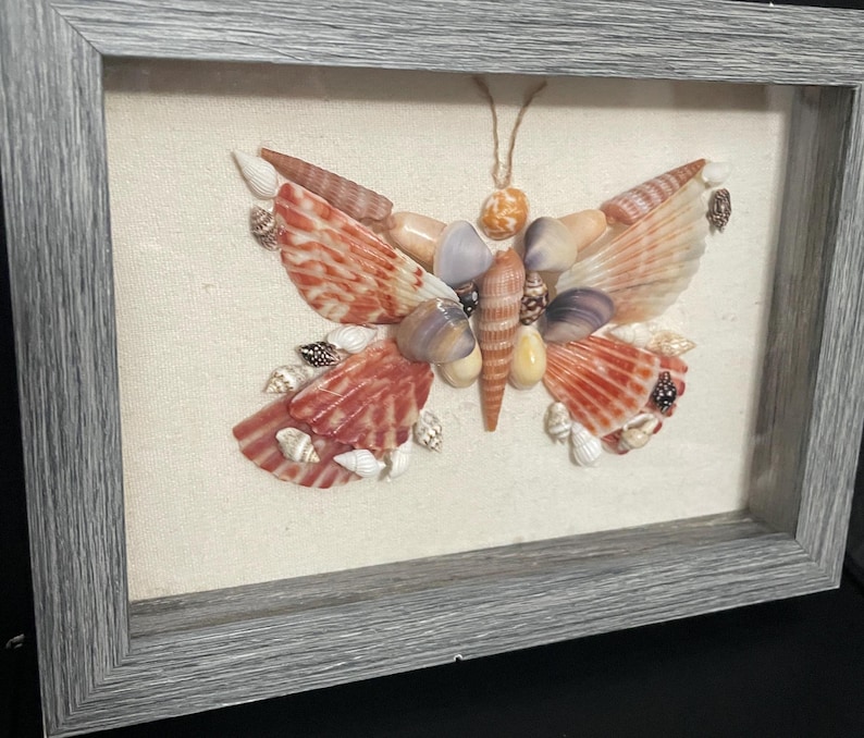 A Framed Seashell Butterfly - Etsy