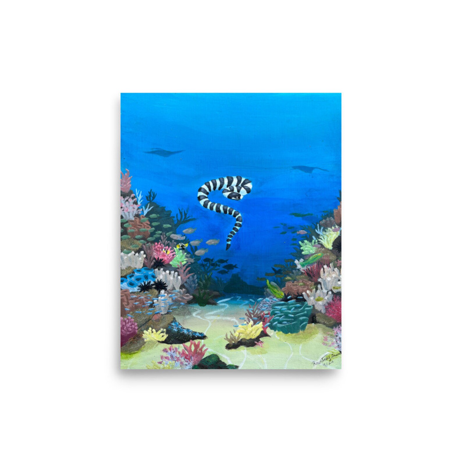 Banded Sea Krait No.1 Art Print, Coral Reef Painting, Sea Snake, by ...