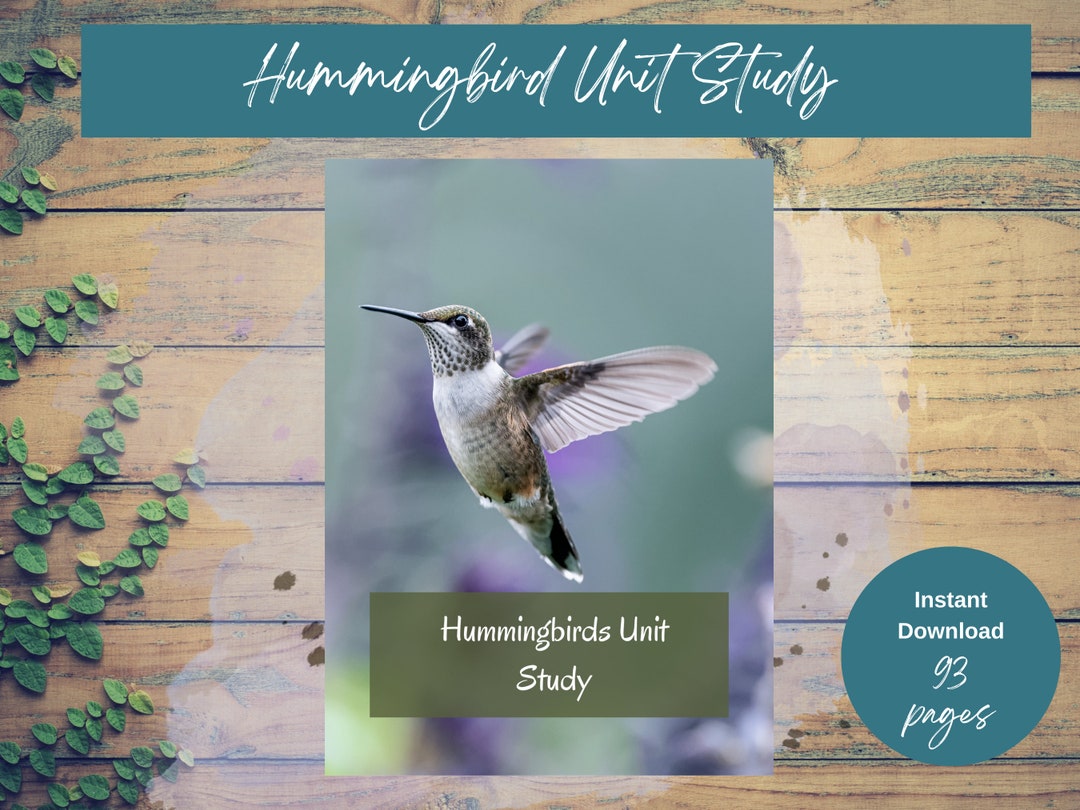 Hummingbird Unit Anatomy | Life Cycle Adaptations | Nature Study ...