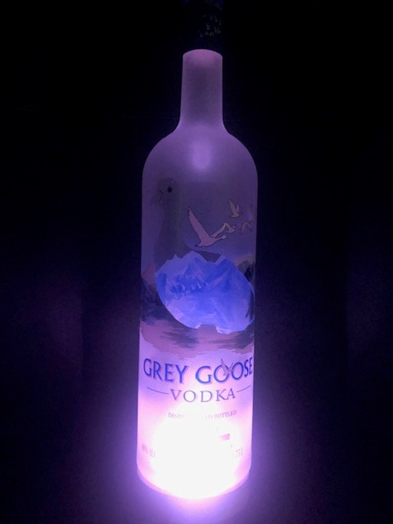 Grey Goose Vodka Bottle - Etsy