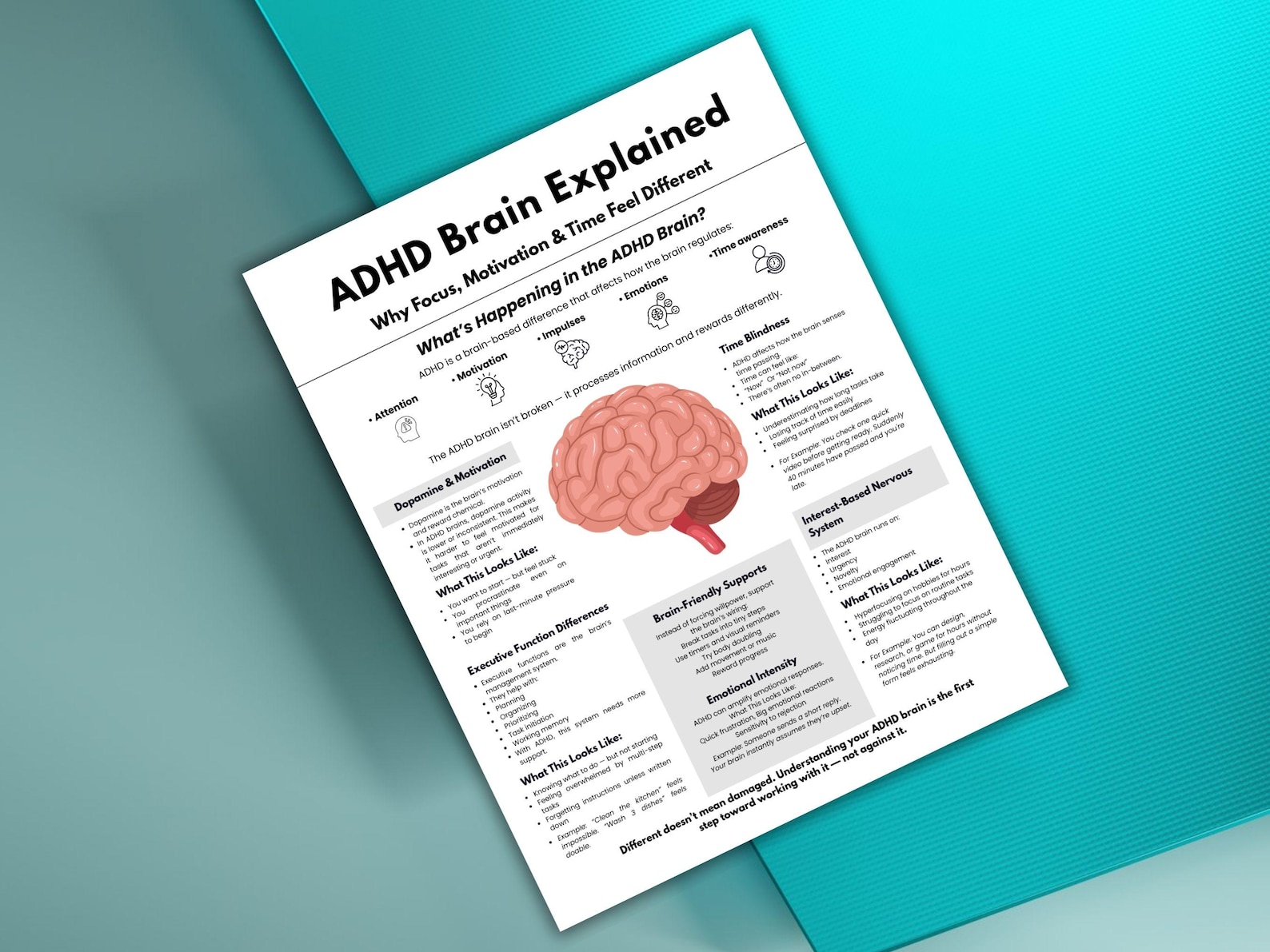 ADHD Brain Explained Cheat Sheet, Neurodiversity Education Printable ...