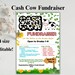 Editable Money-themed Fundraiser Flyer Template, Printable Donation ...