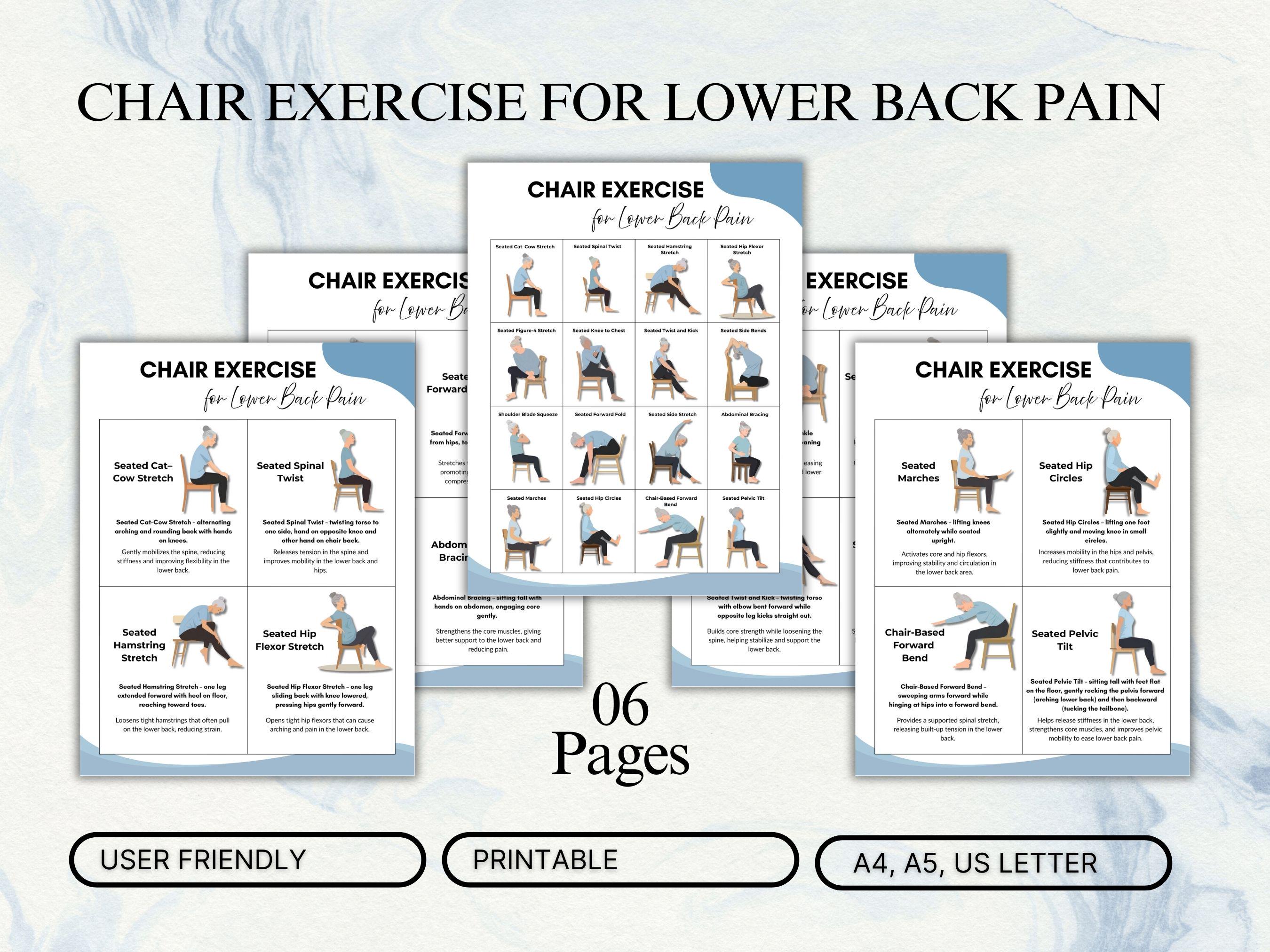Chair Exercise for Lower Back Pain | Seated Yoga for Seniors | Gentle ...