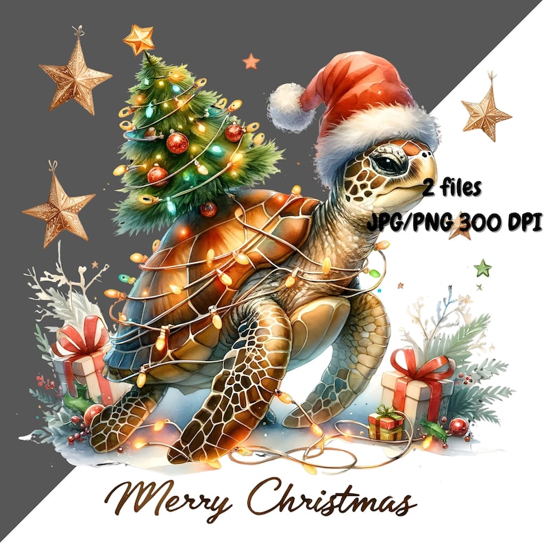 Sea Turtle PNG Sea Turtle Clipart, Sea Turtle Santa ,sea Turtle ,merry ...