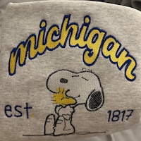 Rare! Vintage 1990s SIGNAL University of Michigan Wolverines Crewneck ...