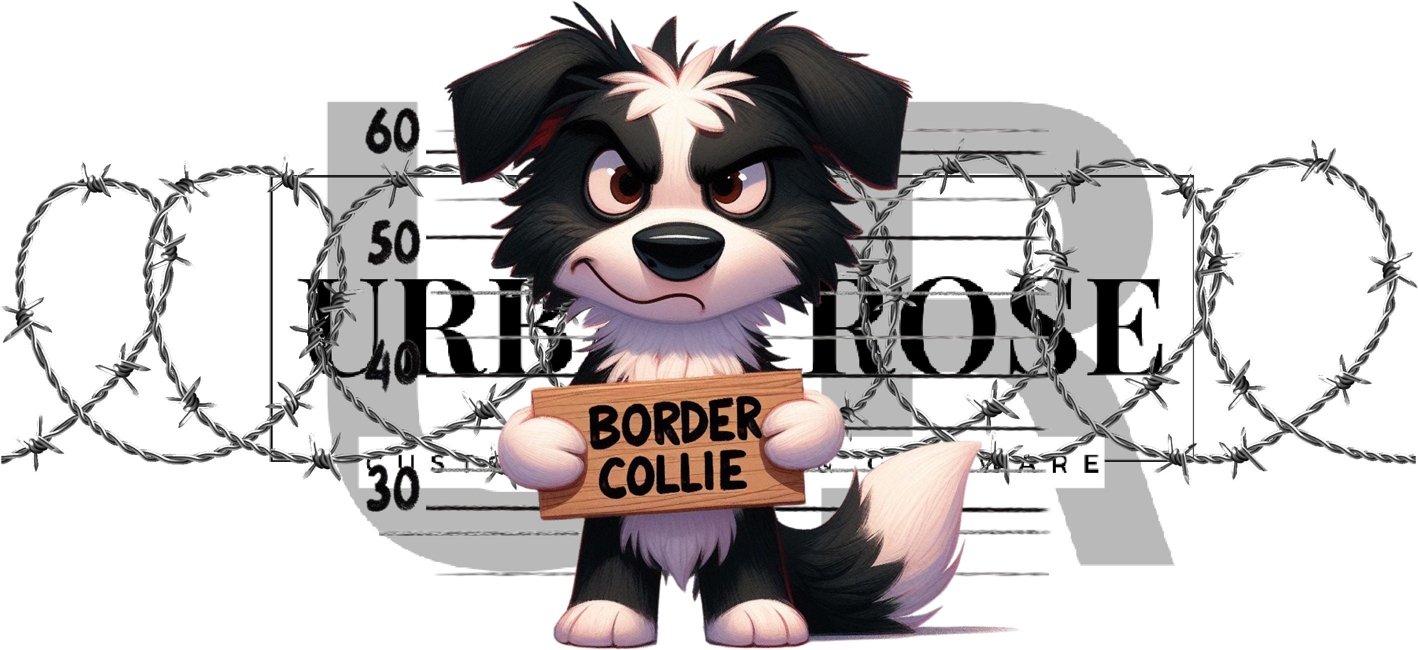 Border Collie Dog 16 Oz Libbey Glass Can Wrap Png Sublimation Digital ...