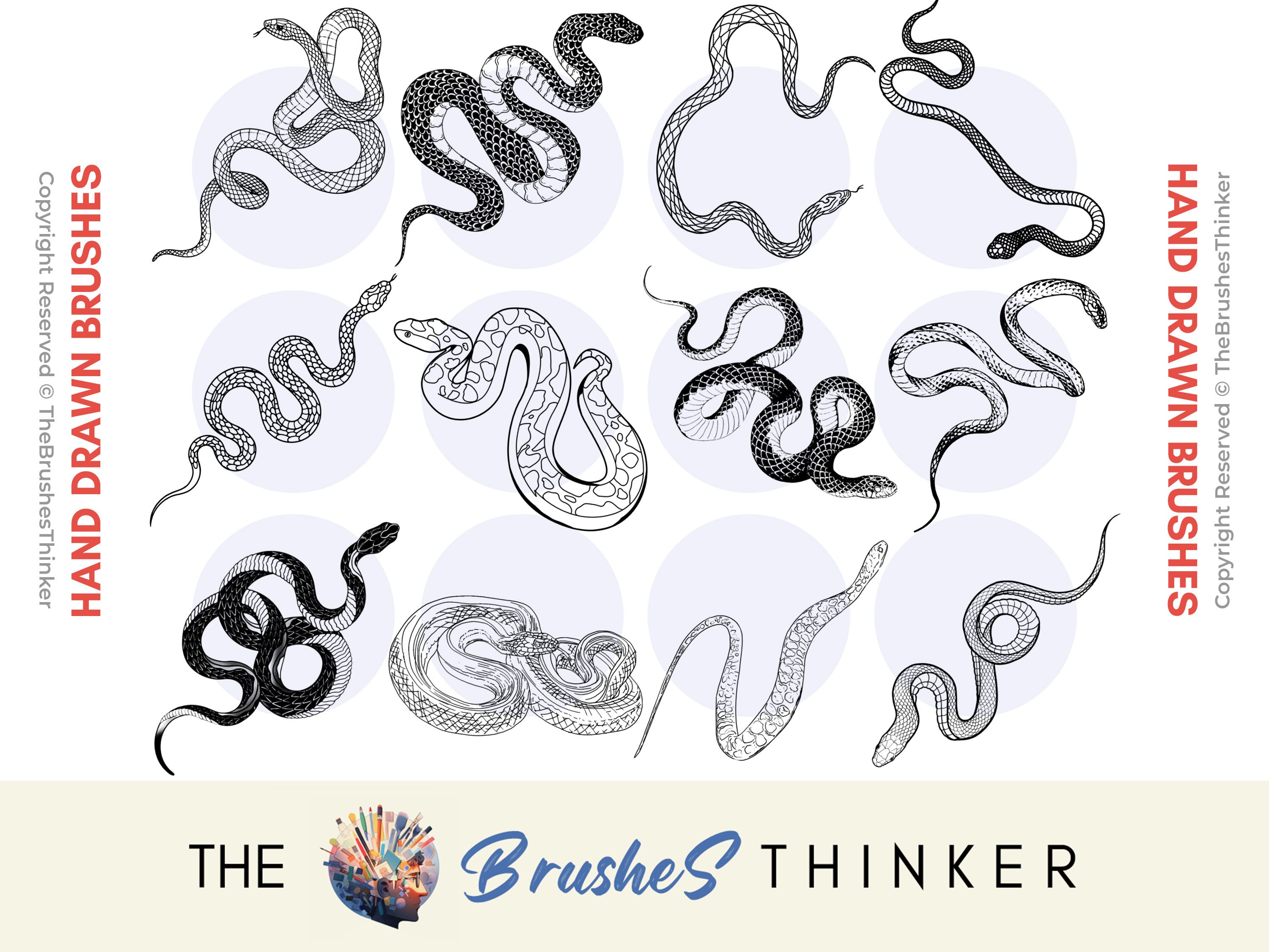 60 Snake Stamps for Procreate Free Bonus Procreate Snake - Etsy