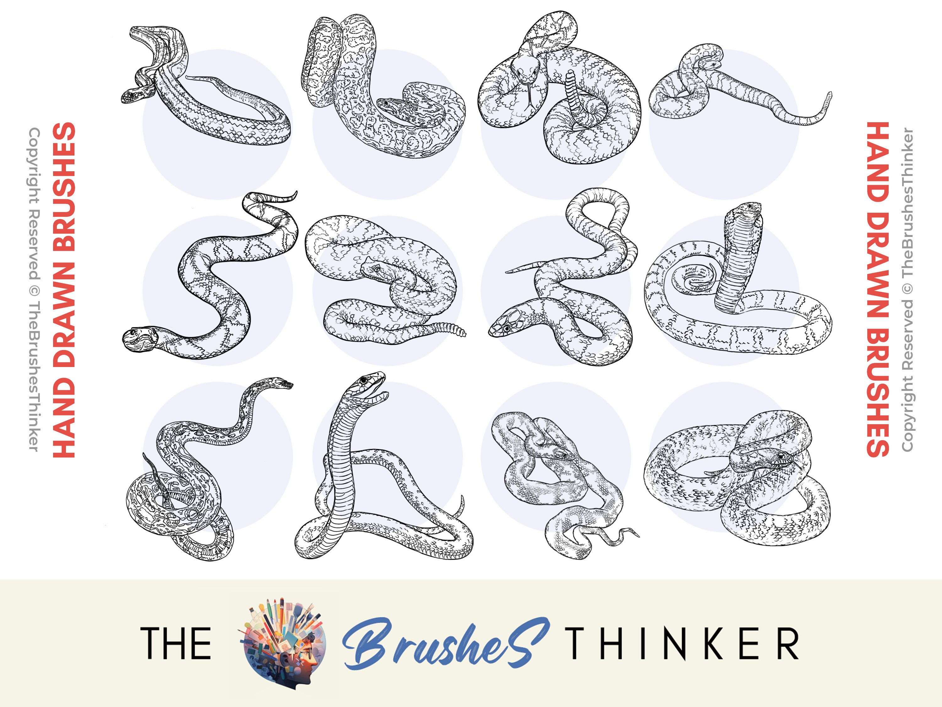 60 Snake Stamps for Procreate Free Bonus Procreate Snake - Etsy