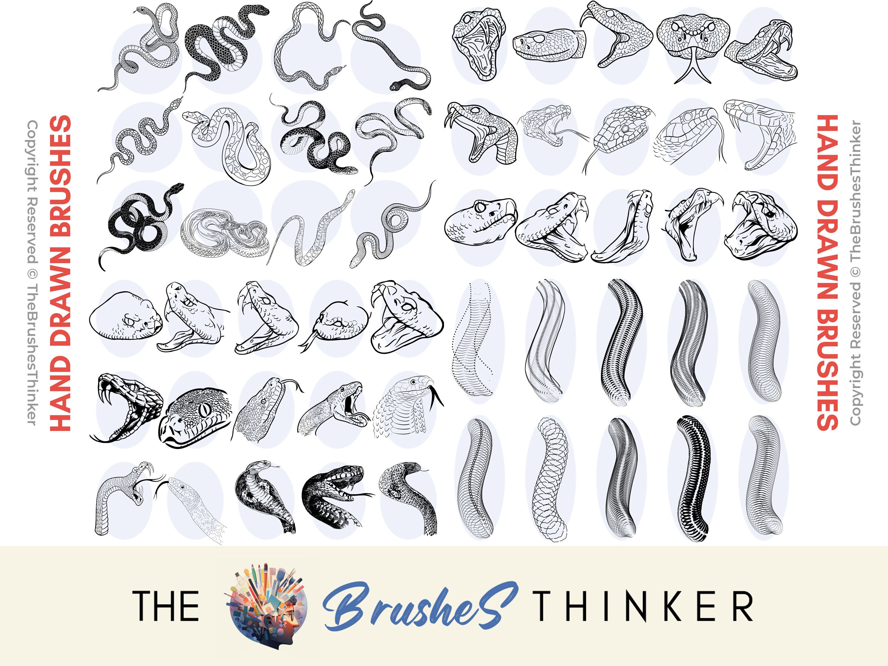 160 Snake Clip Studio Paint Kit Pro + Free Bonus | Snake Stamps, Heads ...