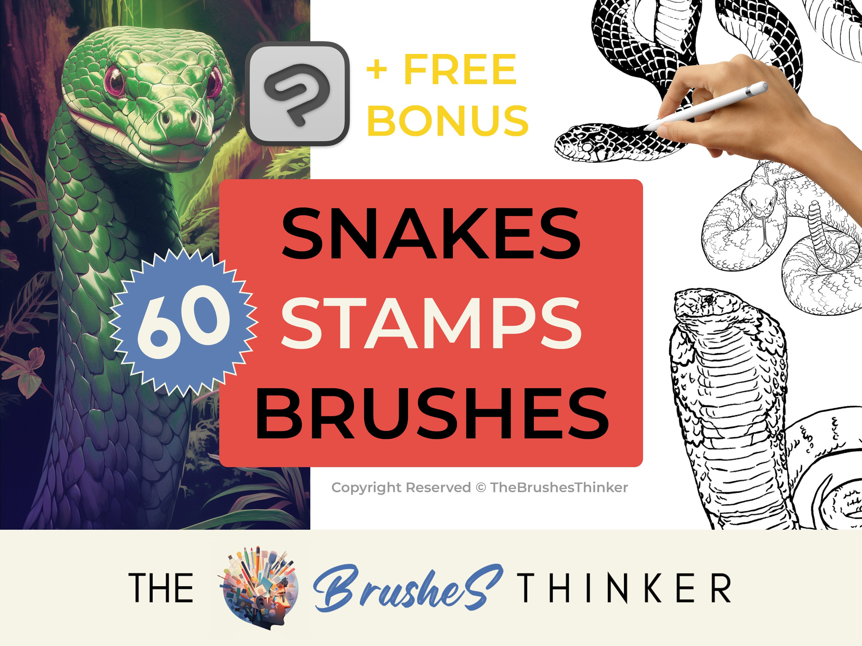 60 Snake Stamps for Clip Studio Paint + Free Bonus, Clip Studio Paint ...