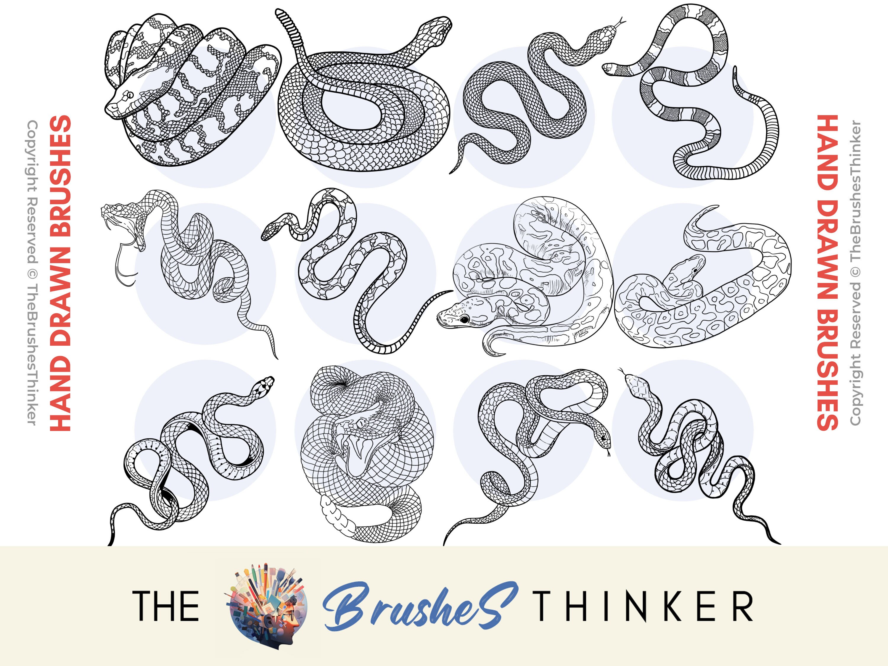 60 Snake Stamps for Clip Studio Paint Free Bonus Clip - Etsy