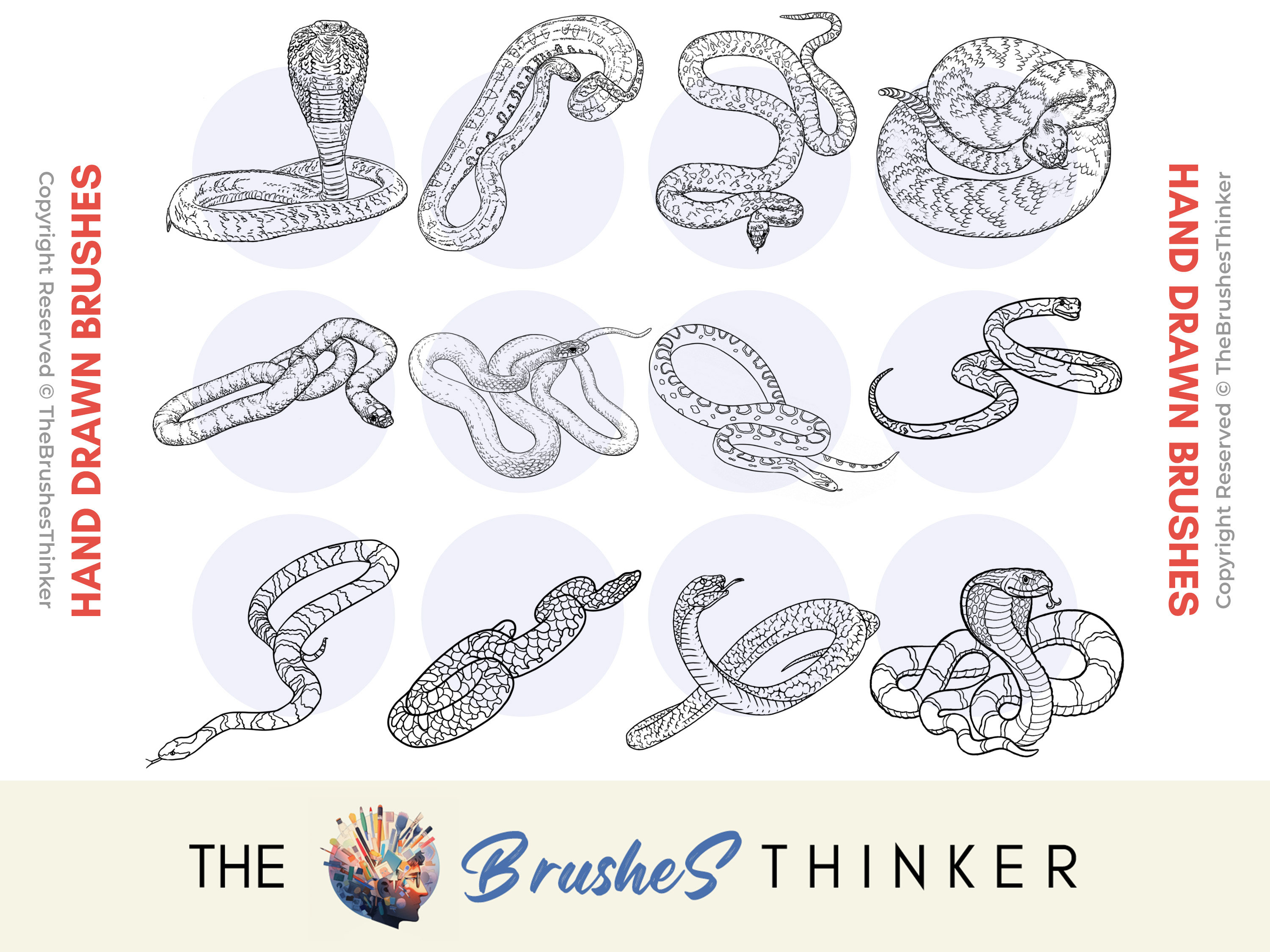 60 Snake Stamps for Clip Studio Paint Free Bonus, Clip Studio Paint ...